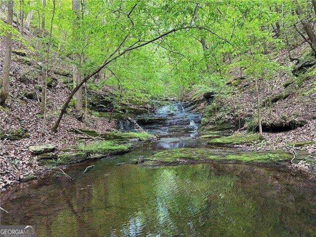 Paris Mountain Rd, Rockmart, Plot For Sale