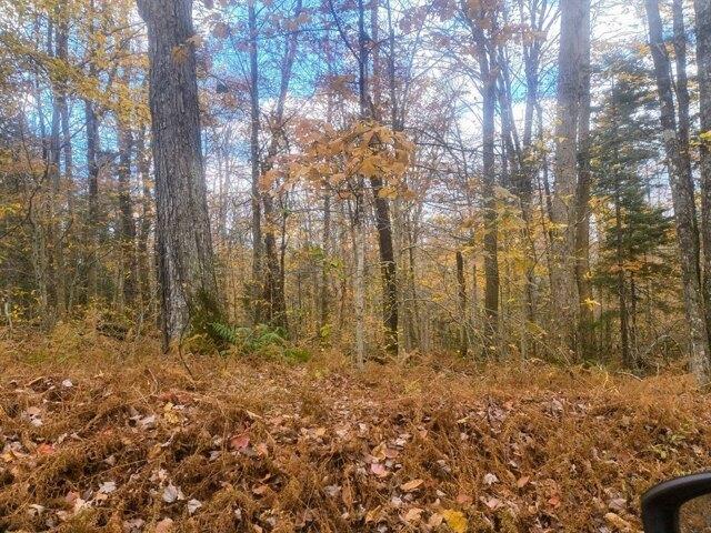 Parish Rd Lot,worthington, Plot For Sale