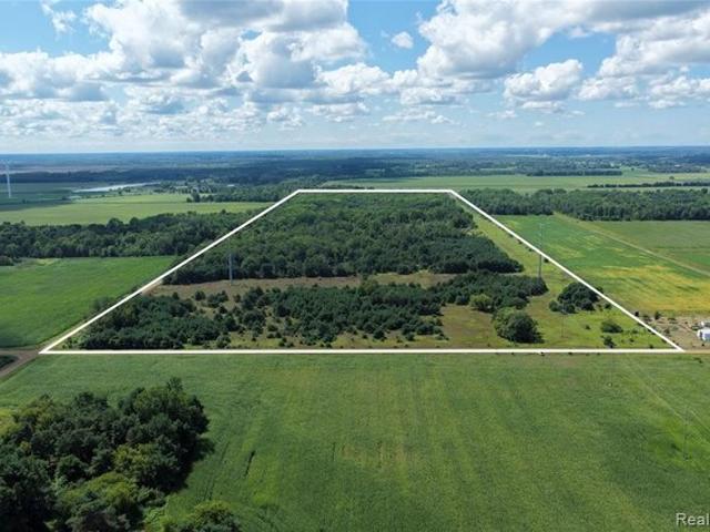 Parisville Rd, Minden, MI 48456