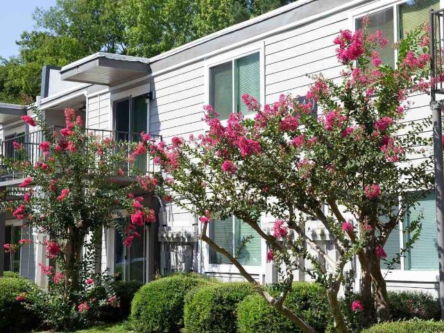 Park On Valley 1 Bedroom Apartment for Rent at 741 Barcelona Ct, Birmingham, AL 35209 Glen Iris