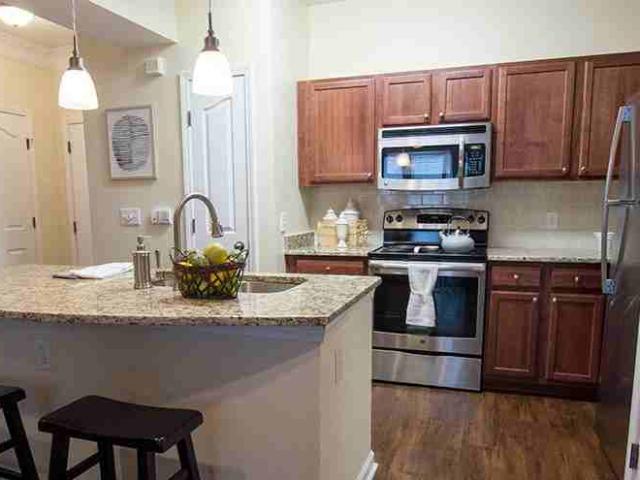 Park at Johns Creek Senior Apartments 2 Bedroom Apartment for Rent at 4345 Alta Dr, Suwanee, GA 30024
