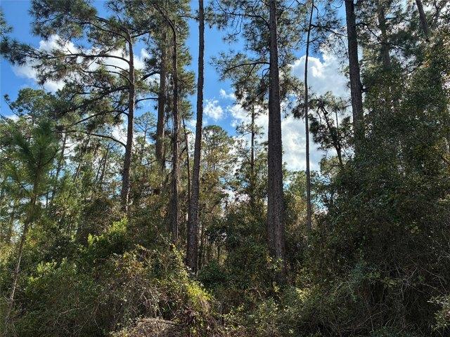 Park Ave Lot 15, Indian Lake Estates, FL 33855