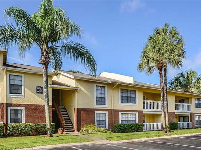Park Avenue 1 Bedroom Apartment for Rent at 11325 N 50th St, Tampa, FL 33617 Terrace Park