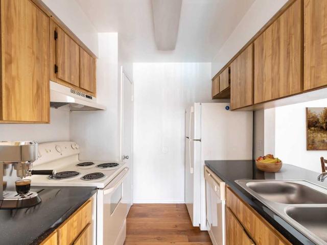 Park Avenue 1 Bedroom Apartment for Rent at 11325 N 50th St, Tampa, FL 33617 Terrace Park