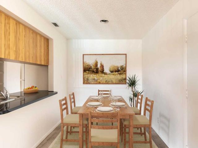 Park Avenue 1 Bedroom Apartment for Rent at 11325 N 50th St, Tampa, FL 33617 Terrace Park