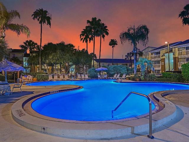 Park Avenue 1 Bedroom Apartment for Rent at 11325 N 50th St, Tampa, FL 33617 Terrace Park