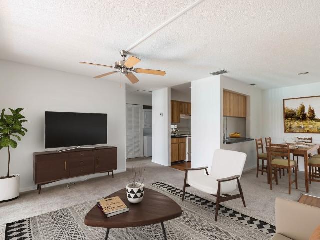 Park Avenue 3 Bedroom Apartment for Rent at 11325 N 50th St, Tampa, FL 33617 Terrace Park