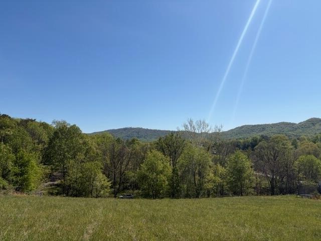 Park Dr, Blue Ridge, VA 24064