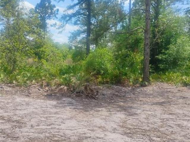 Park Forest Blvd, Mount Dora, FL 32757
