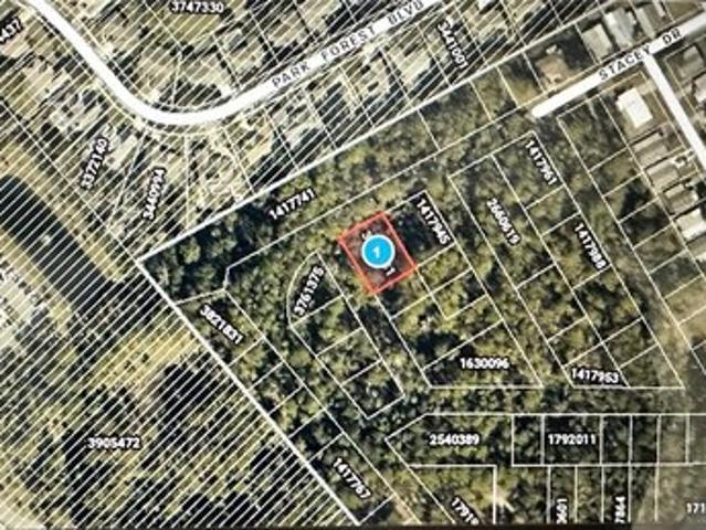 Park Forest Blvd Lots 77 & 78, Mount Dora, FL 32757