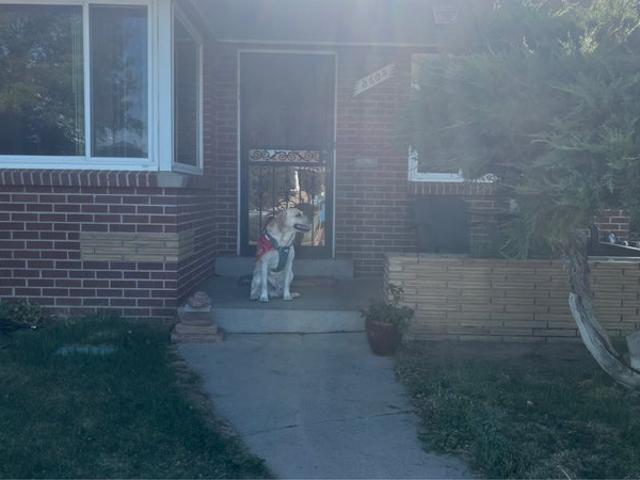 Park Hill Roommate wanted!