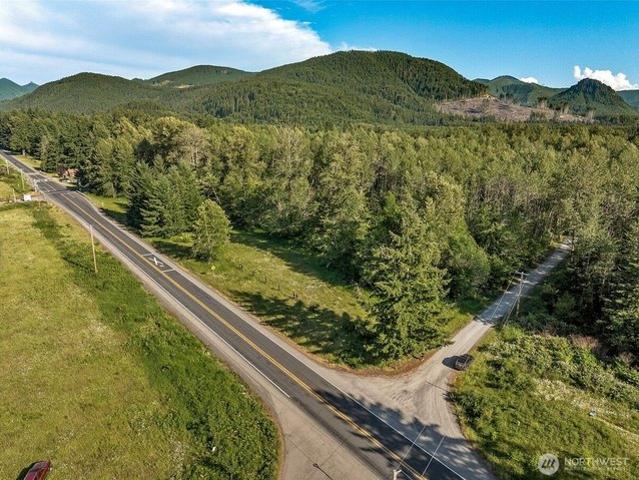 Park Junction Rd E, Elbe, WA 98330
