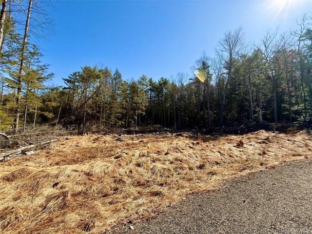 Park Lane