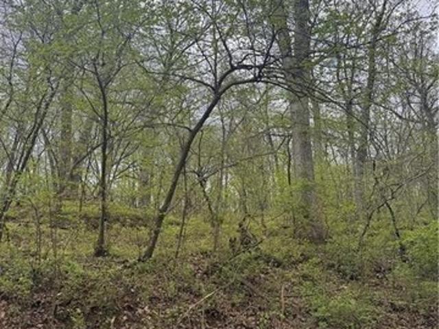 Park Ln Lot 47 49, Oak Grove, MO 64075
