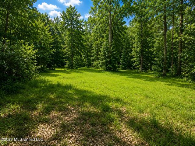 Park Place, McComb, MS 39648