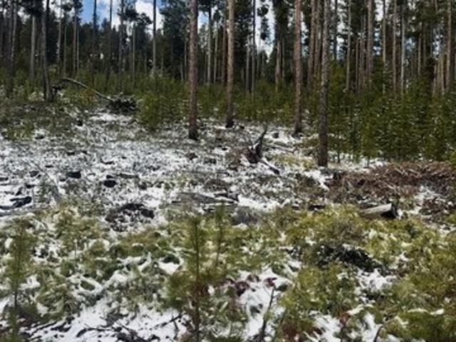 Park Rd Lot 30, Philipsburg, MT 59858