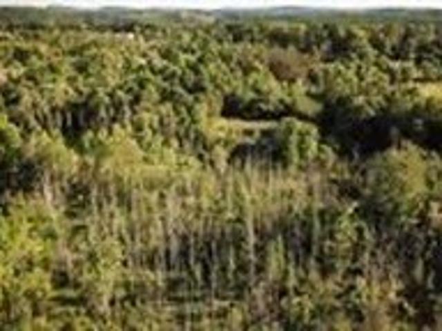 Park St, Cazenovia, Plot For Sale