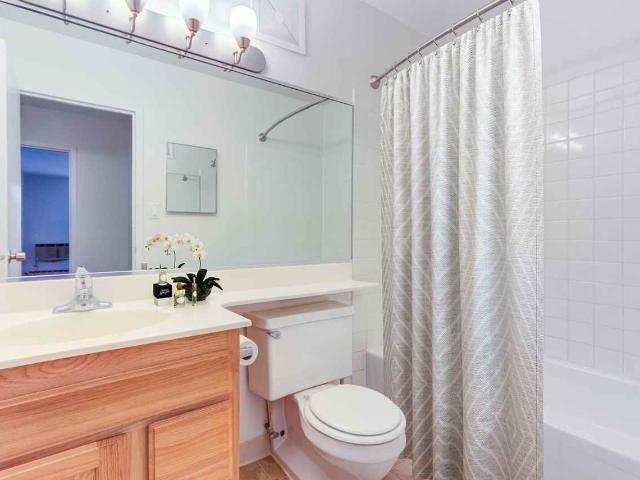Park Towers Apartments 1 Bedroom Apartment for Rent at 3905 Tower Dr, Richton Park, IL 60471