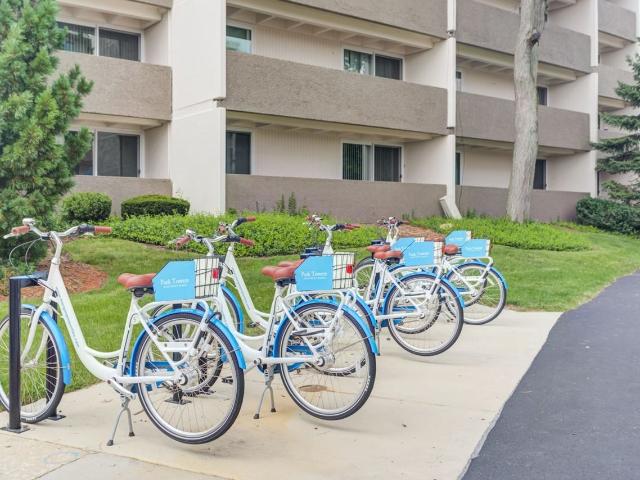 Park Towers Apartments 2 Bedroom Apartment for Rent at 3905 Tower Dr, Richton Park, IL 60471