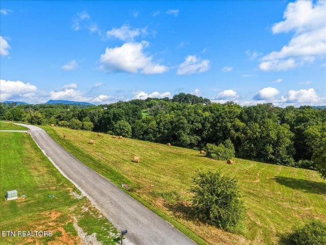 Park View Drive, Blaine, TN 37709