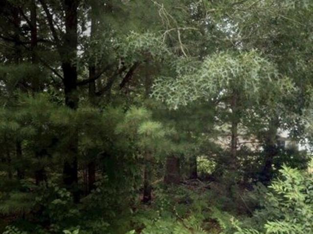 Park, Wareham, Plot For Sale