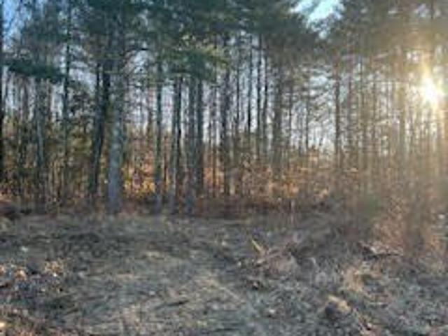 Parker Farm Rd Unit B, Buxton, Plot For Sale