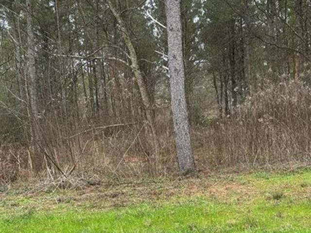 Parker Ln Lot 9, Ellisville, MS 39439