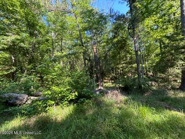 Parker Road, Crosby, MS 39633