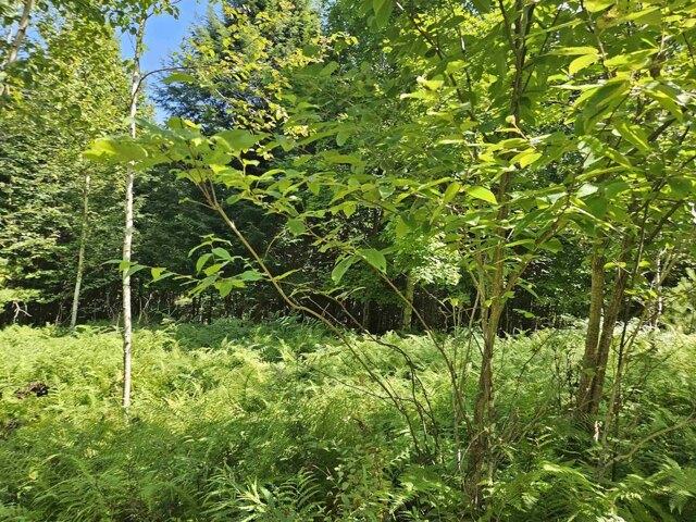 Parker Rd Lot,lisbon, Plot For Sale