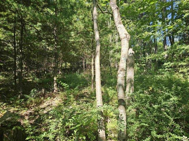 Parker Rd Lot,lisbon, Plot For Sale