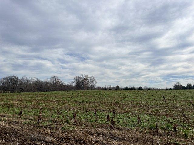Parkhurst Rd, Red Boiling Springs, TN 37150
