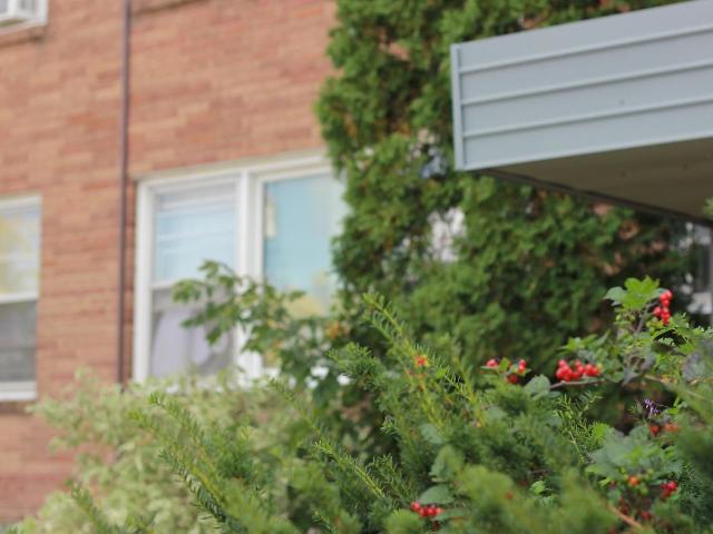 Parklawn Studio Apartment for Rent at 1270 Magnolia Ave E, St. Paul, MN 55106 Payne Phalen