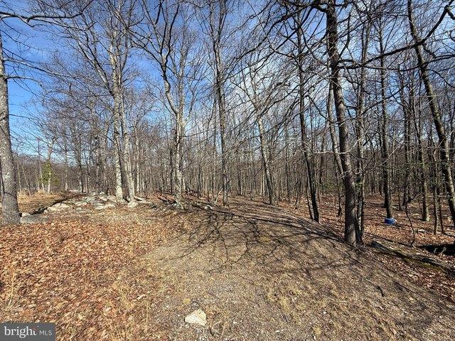590 Parkside Ter, Berkeley Springs, WV 25411