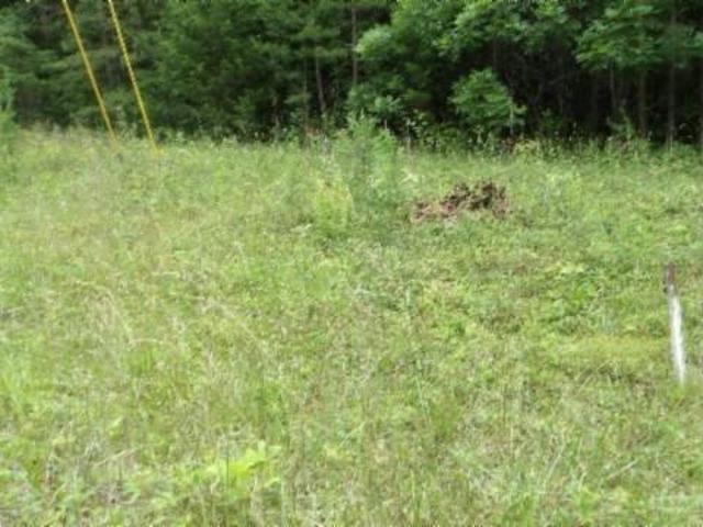 Parkstown Ext Rd Lot 48, Wilder, TN 38589