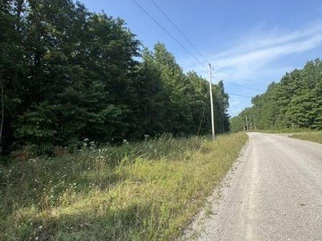 Parkstown Rd, Wilder, TN 38589