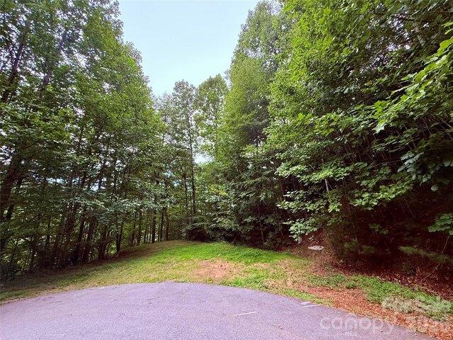 Parkway View Ln Unit L1, Penrose, NC 28766