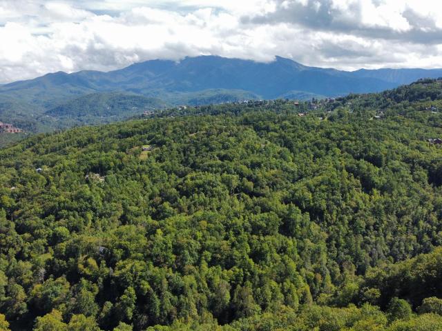 Parkway Way, Gatlinburg, TN 37738 | MLS #1316