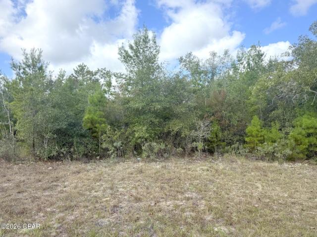 Parkview Dr, Unit LOT 13, Chipley, FL 32428 | MLS #780160
