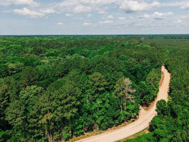 Parnel Rd, Cope, SC 29038