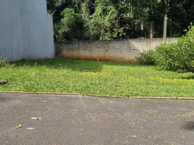Parque das Palmeiras terreno de esquina