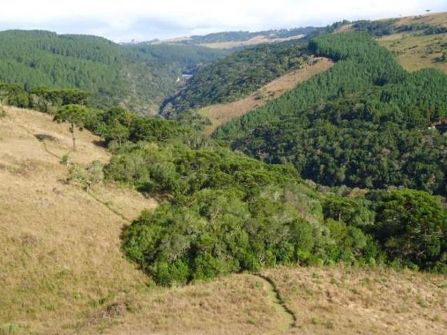 Parque ecológico e pousada a venda