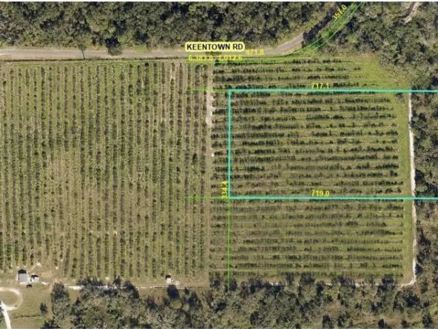 Parrish FL 34219 102659998