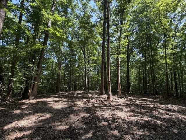 Parrish Rd Lot 4A, Louisa, VA 23093