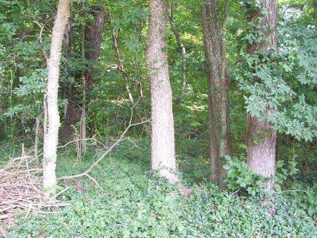 Parsonage Ave Lot 2, Drakes Branch, VA 23937