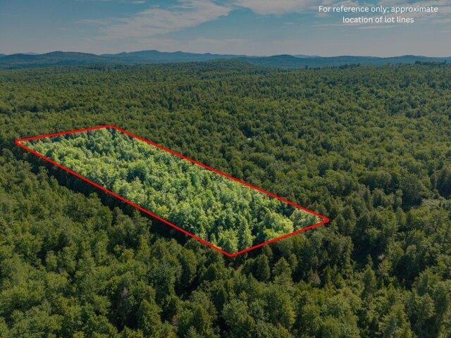 Parsonsfield ME 04047 105124449