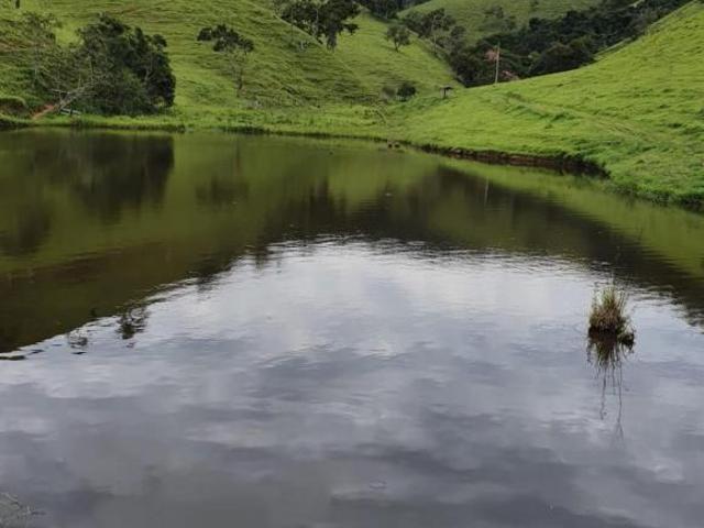 Pasto bem Formado, 04 Represas, 07 Nascentes, Rio na Divisa com Clima Excelente