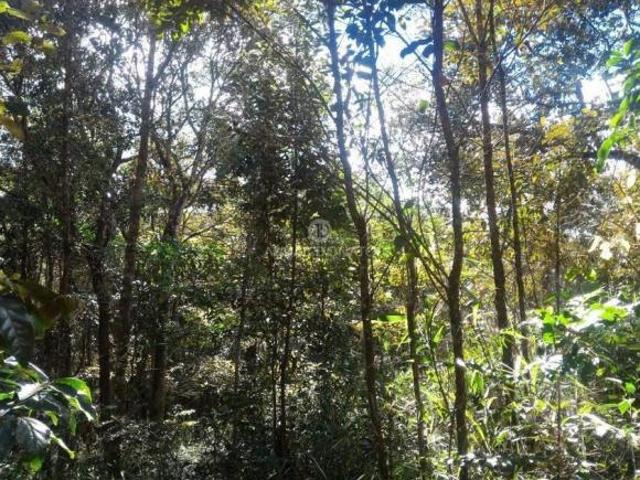 Pasárgada Lote / Terreno à venda na Anuar Donato