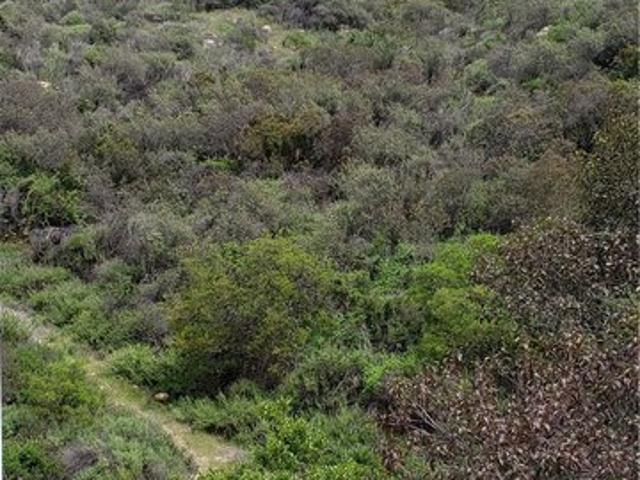 Paseo Chaparro, Murrieta, CA 92562