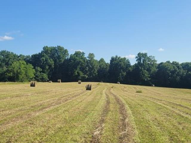 Pass Rd, Shelbyville, TN 37160