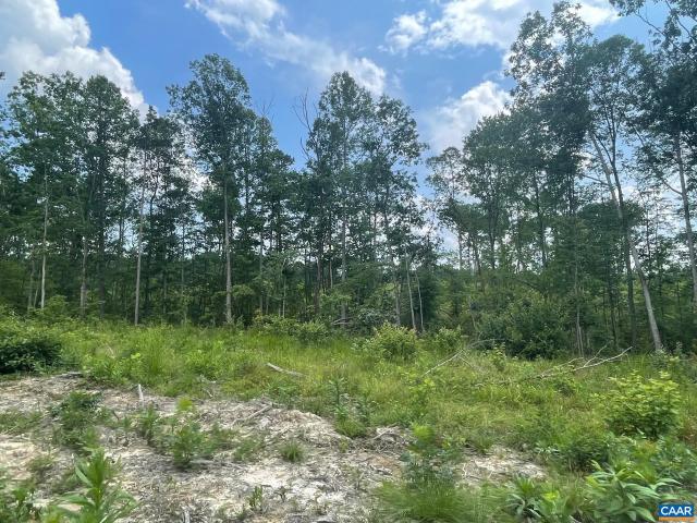 Passante Sr Ln, Unit 10 68, Gordonsville, VA 22942 | MLS #666509